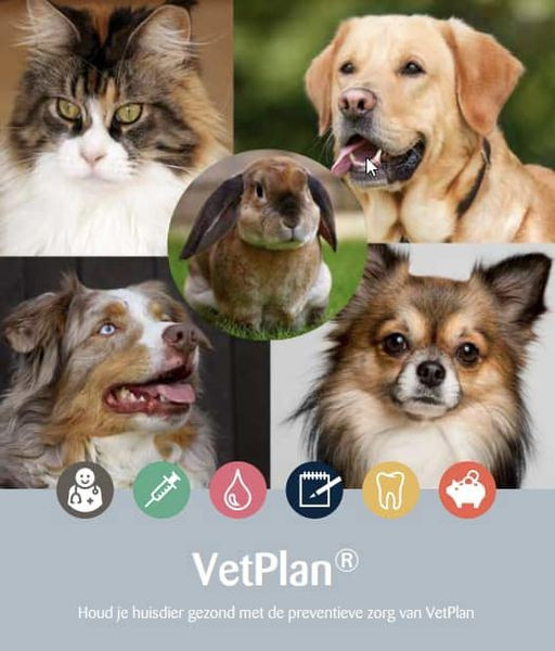 VetPlan :: Dierenartsenpraktijk-tilia